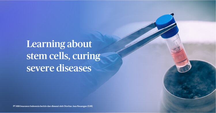Stem Cells: Definition, Function, and Diseases They Can Cure